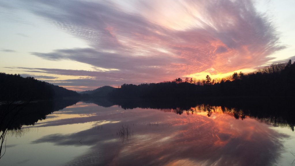 I'm in Charge of Celebrations - Shaver’s Creek Environmental Center