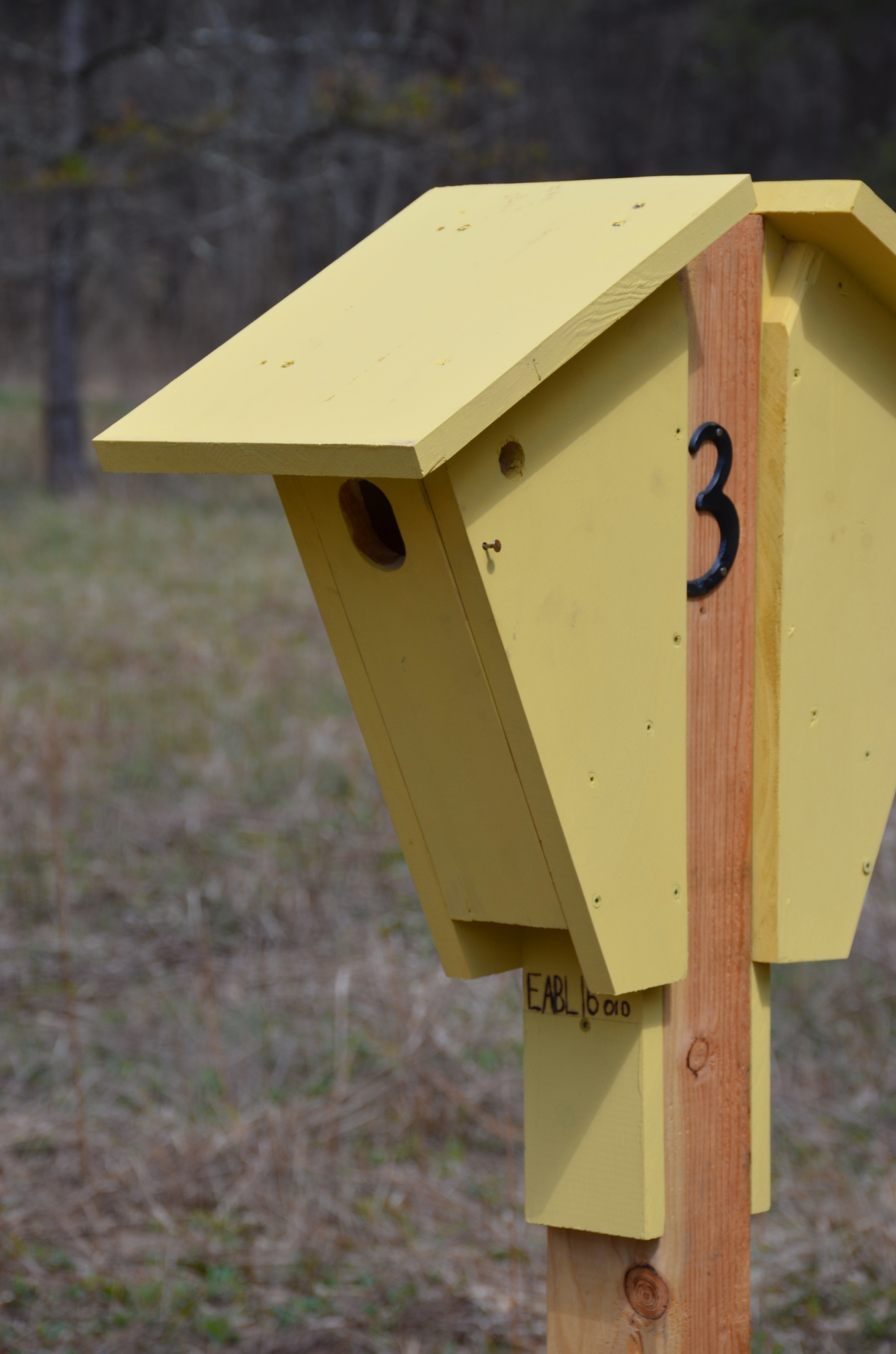 Return of the Bluebirds - Shaver’s Creek Environmental Center