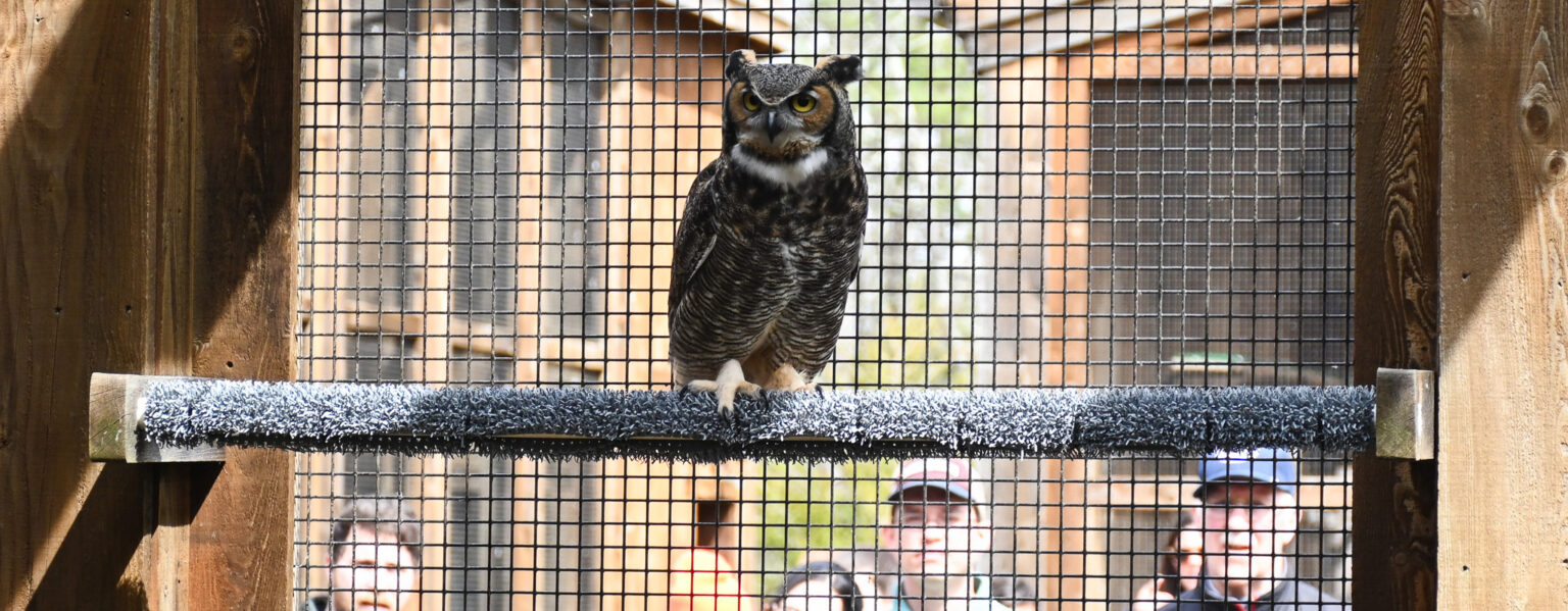 Animal Encounters - Shaver’s Creek Environmental Center